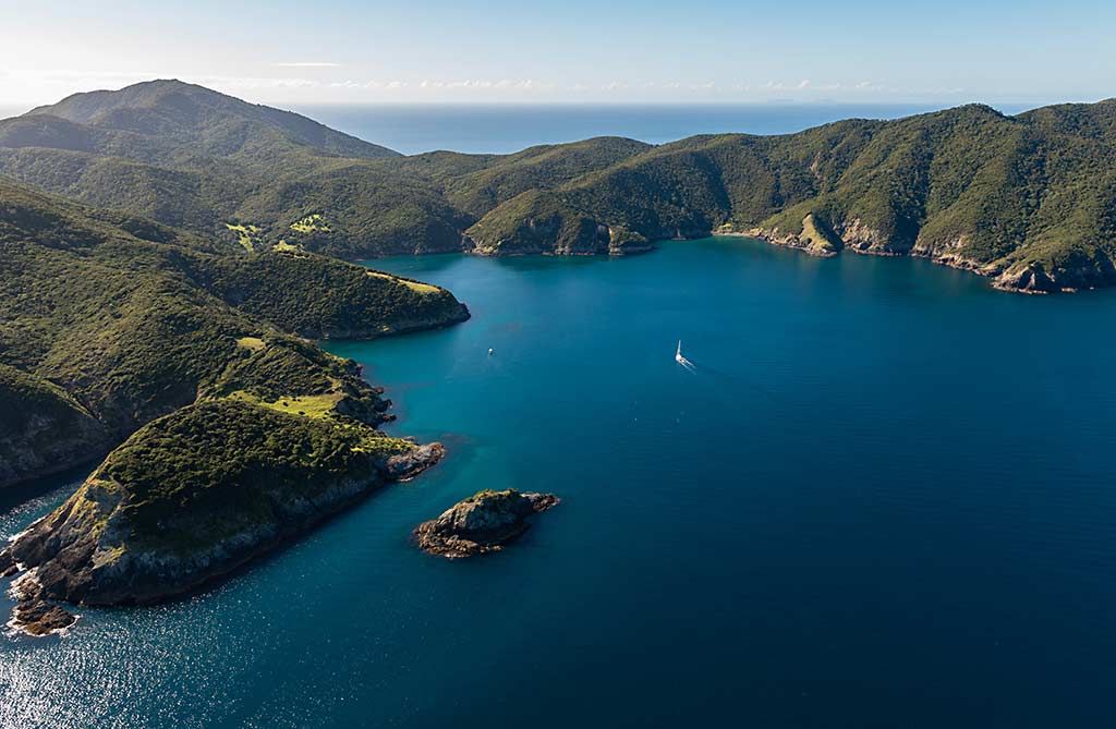 New areas protected from fishing in Northland cause for celebration ...