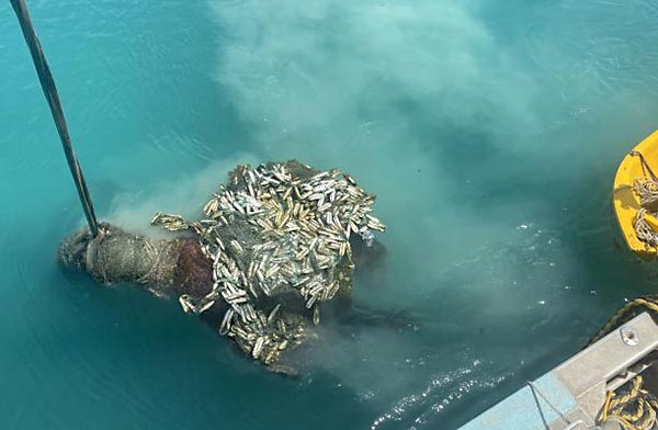 Eight tonnes of ghost net retrieved from Queensland waters - Dezember ...
