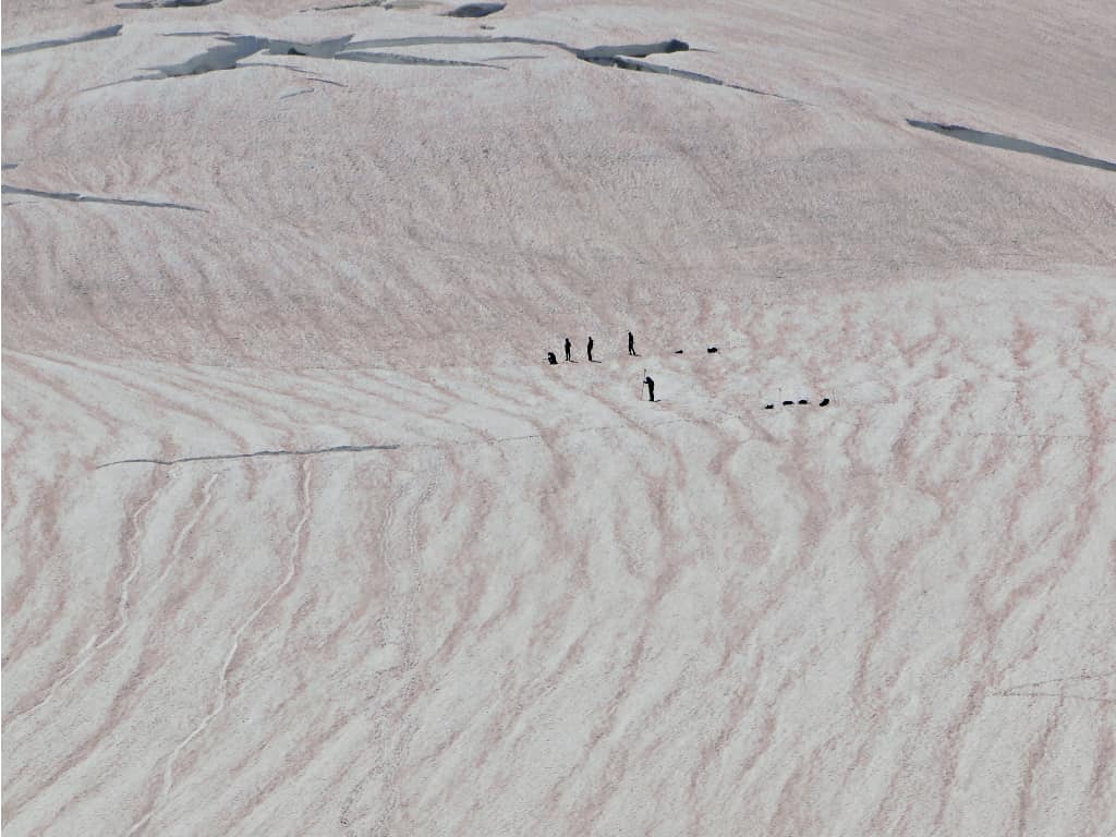 Algal blooms increase snowmelt in the Pacific Northwest by 20 percent ...